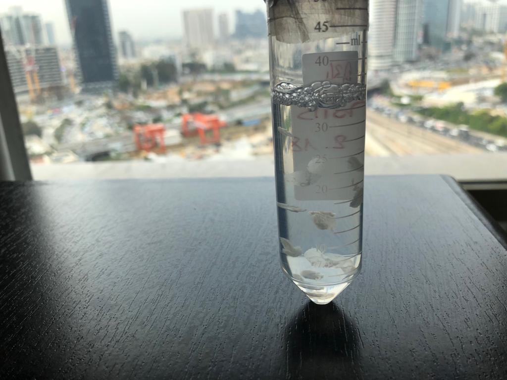 Η Betalin Therapeutics είναι έτοιμη να ξεκινήσει δοκιμές του οργανικού ...